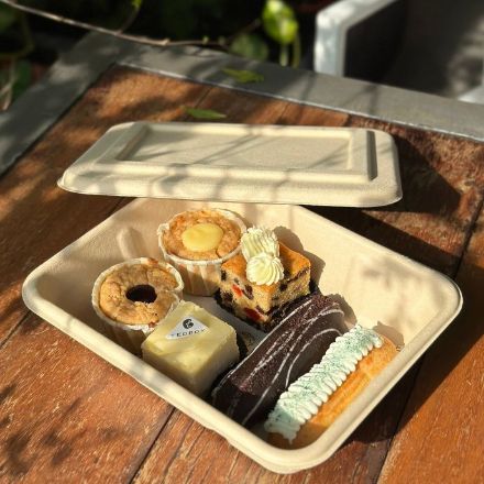 Personal Box | Tedboy